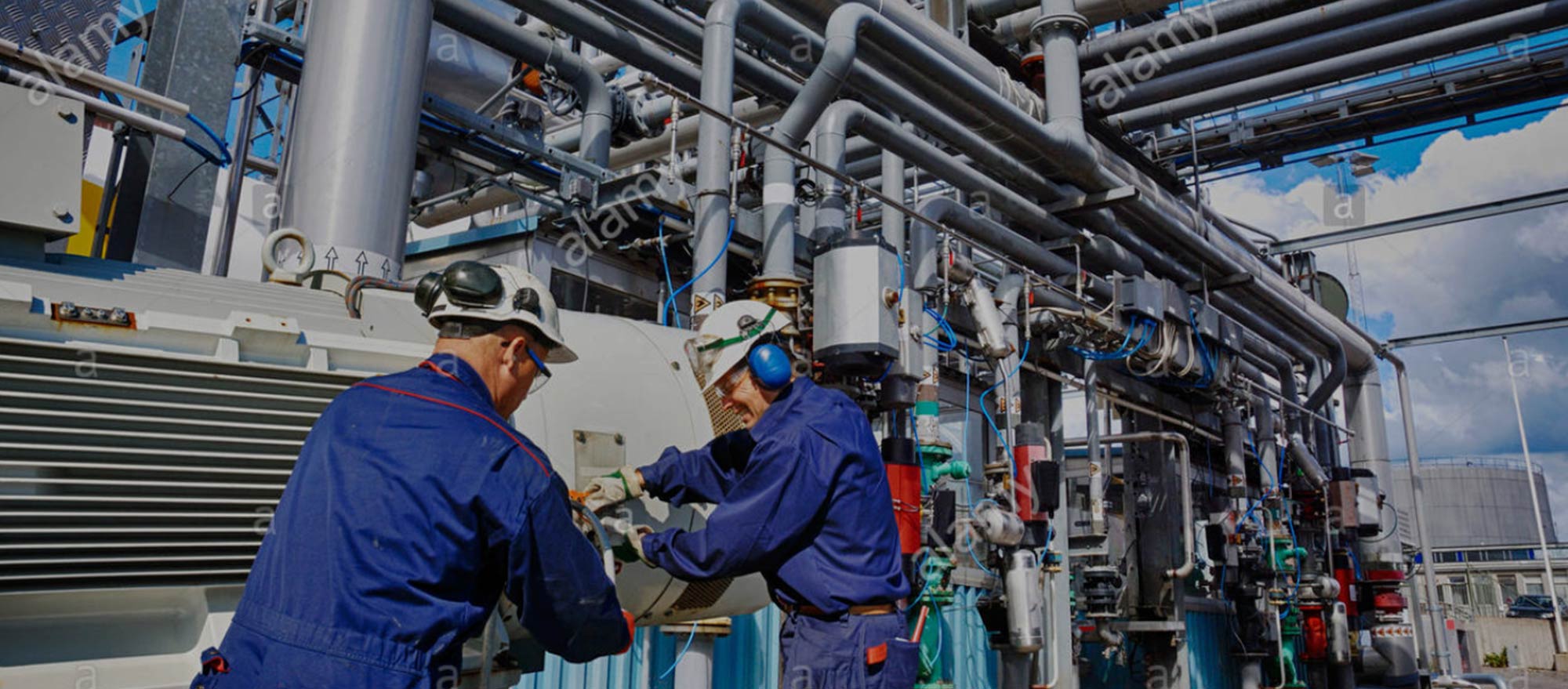 Business lines - InterOil Group